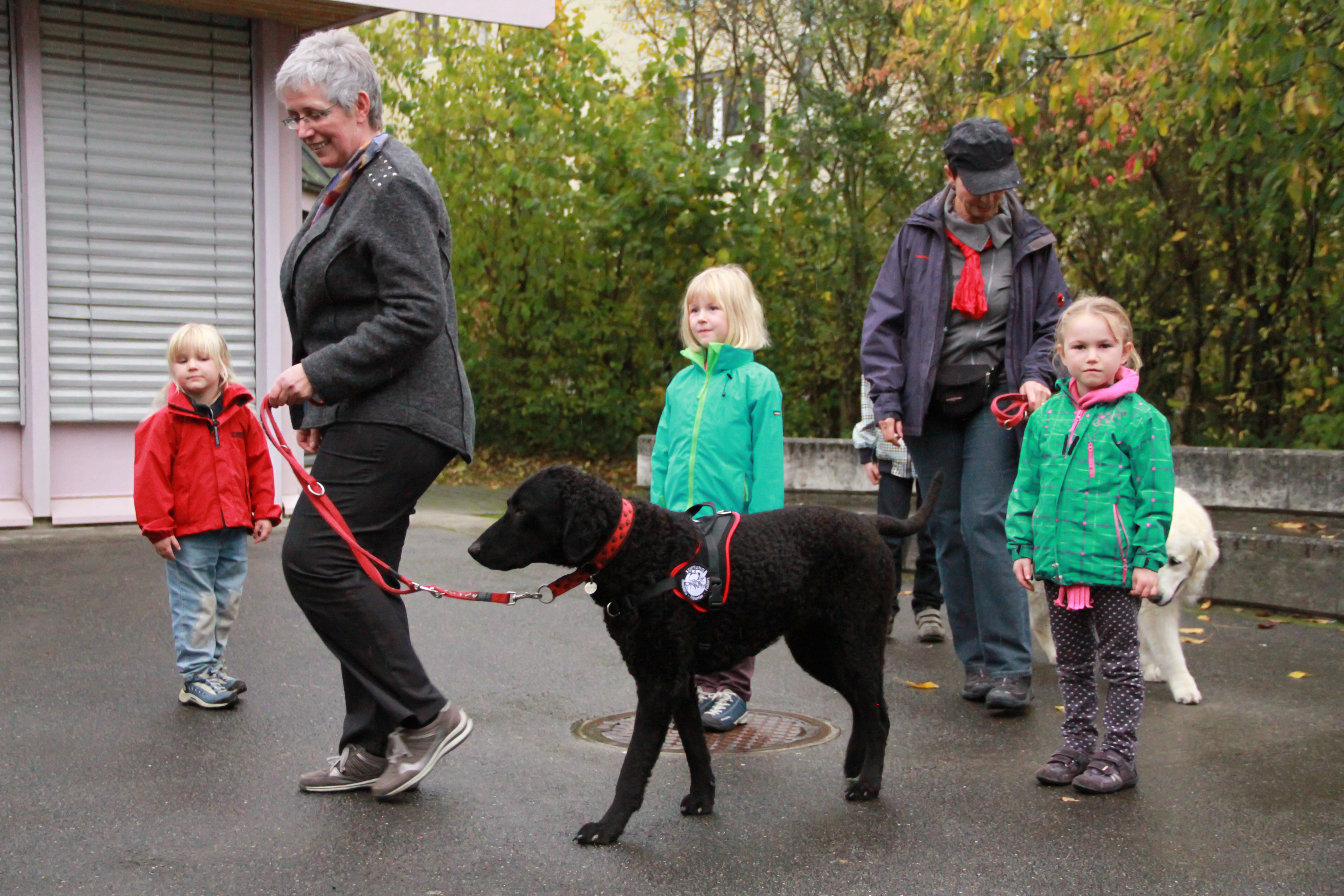 An wen richtet sich das Präventionsprogramm?